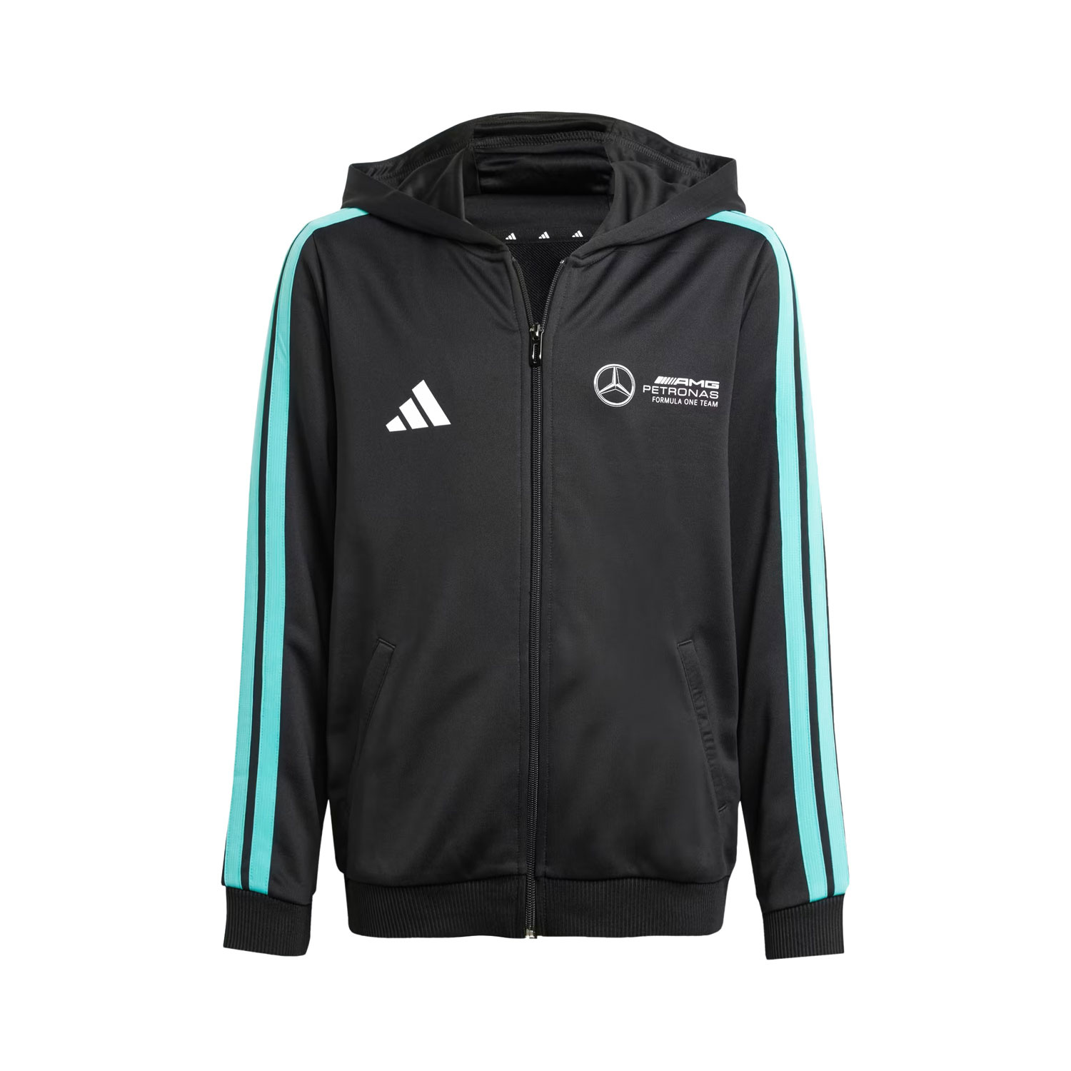 Bluza dziecięca DNA Zip Mercedes AMG F1 2025 od Mercedes AMG Petronas ...